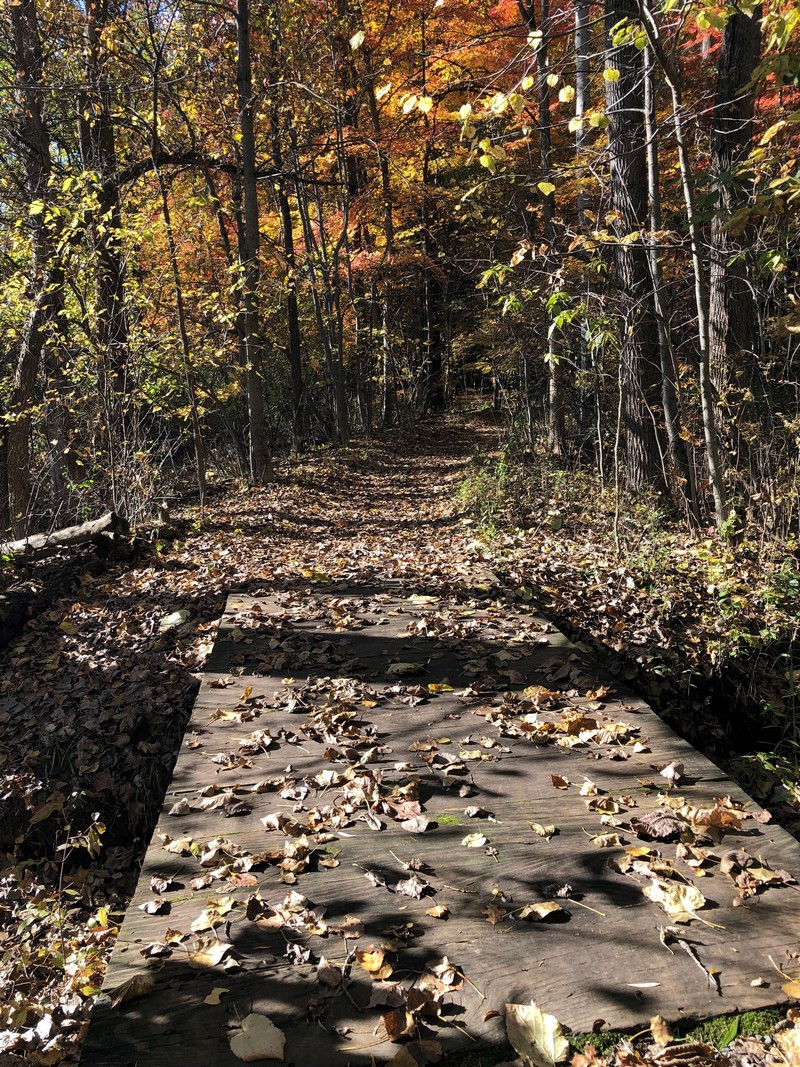 Bridges of Midland