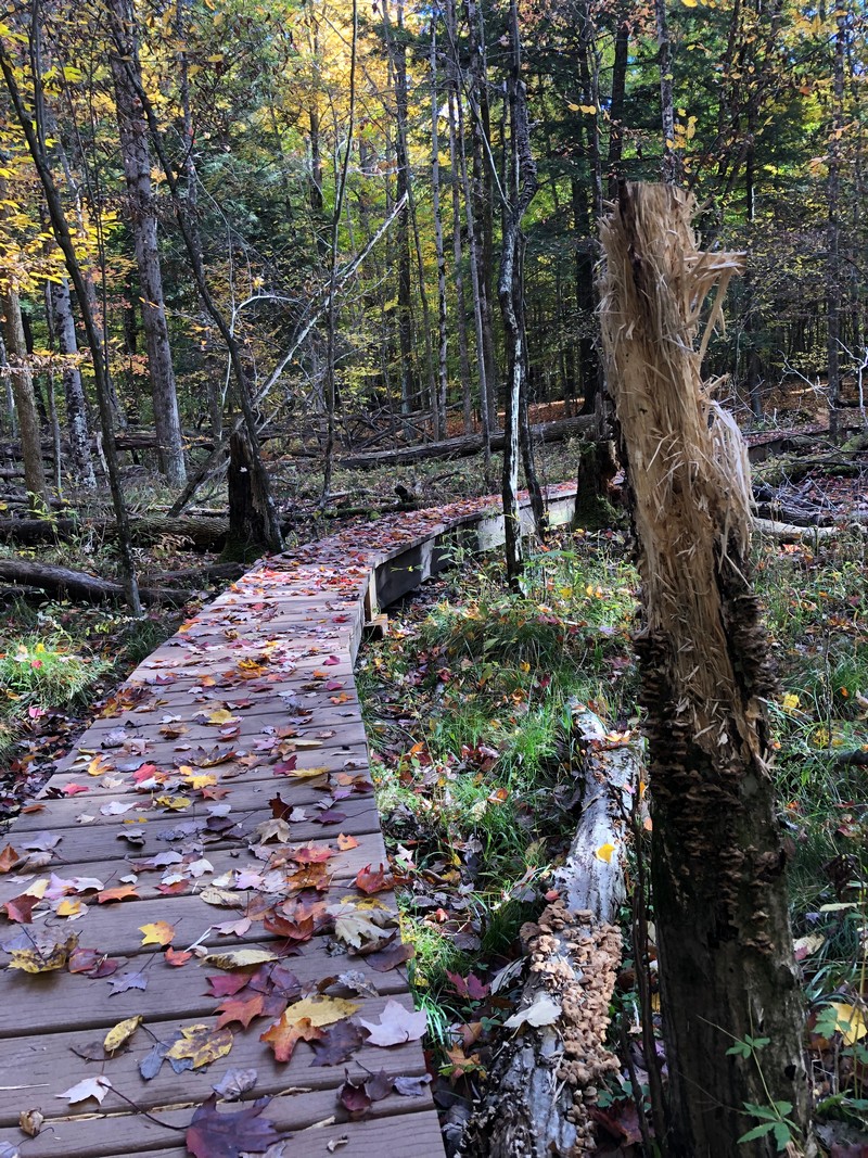 Bridges of Midland