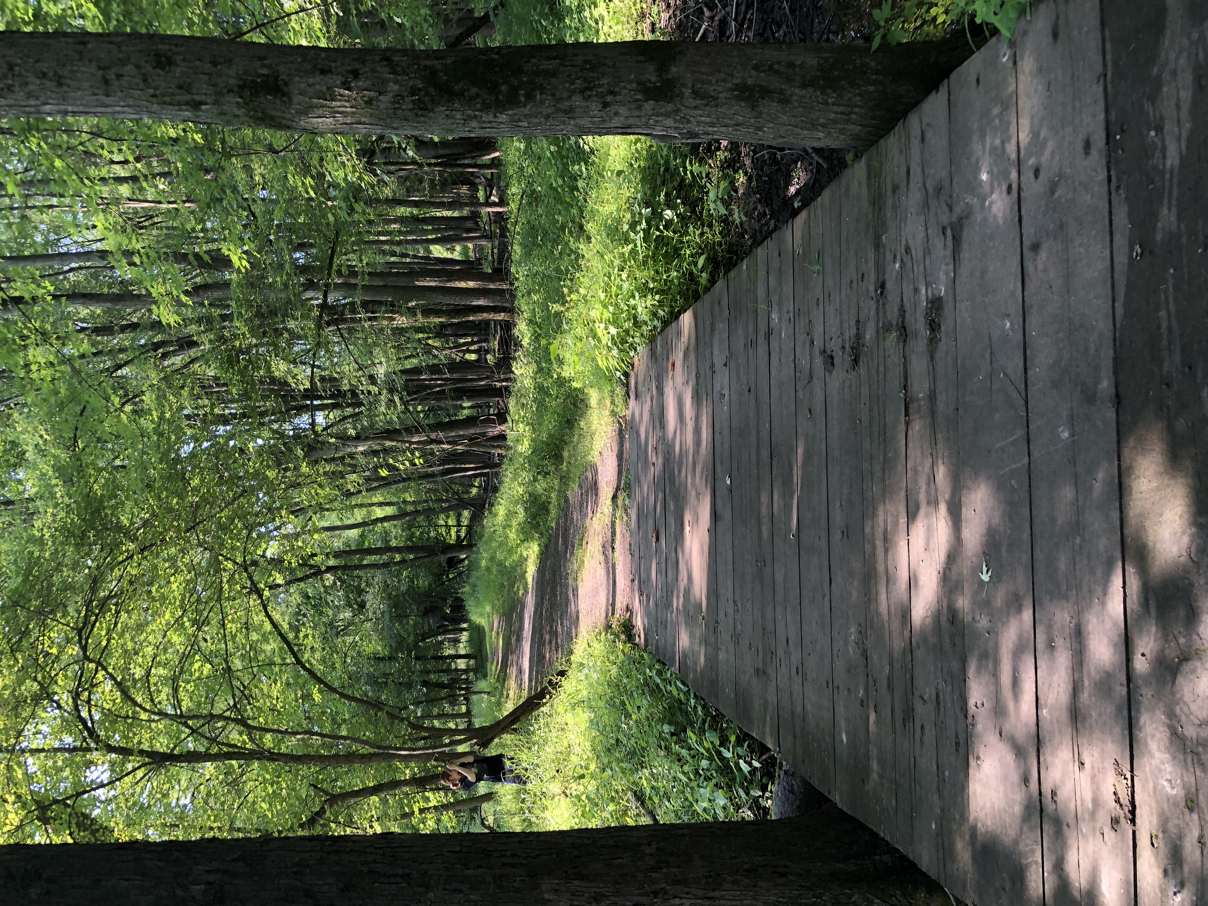 Bridges of Midland