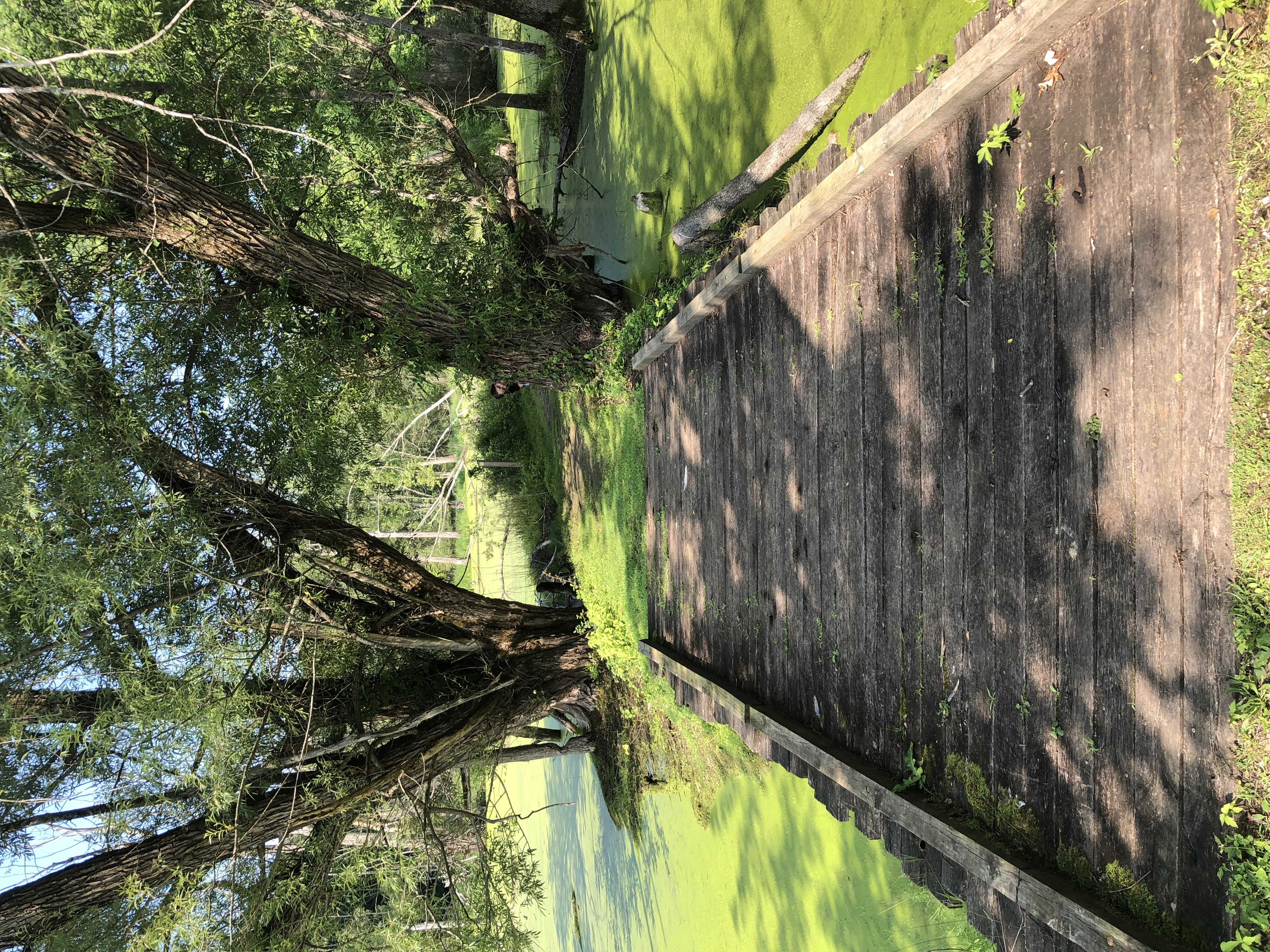 Bridges of Midland